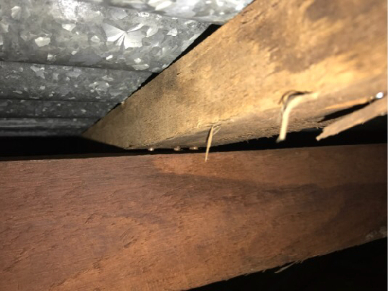 Roof Uplift - Ambrose Construct Group