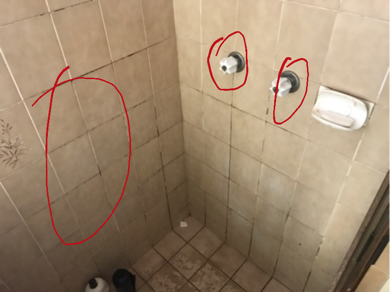 Mushrooms Inside the House! - Ambrose Construct Group